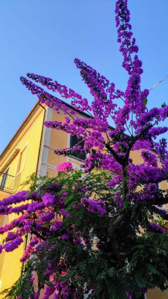 Quando Visitare L Isola D Elba Elba Life